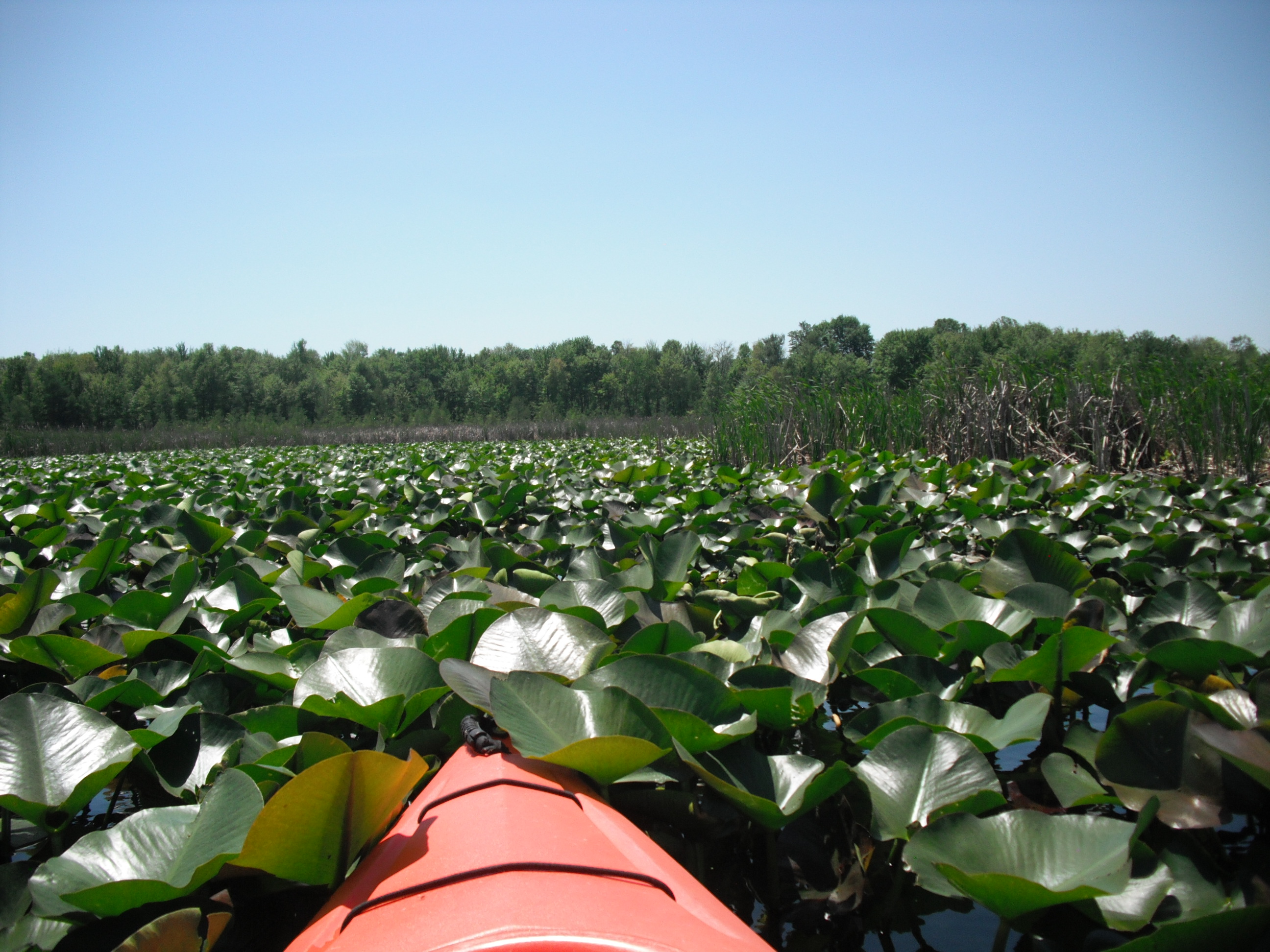 KAYAKING SOUTHWEST MICHIGAN – A GUIDE TO KAYAKING AND KAYAKING DESTINATIONS