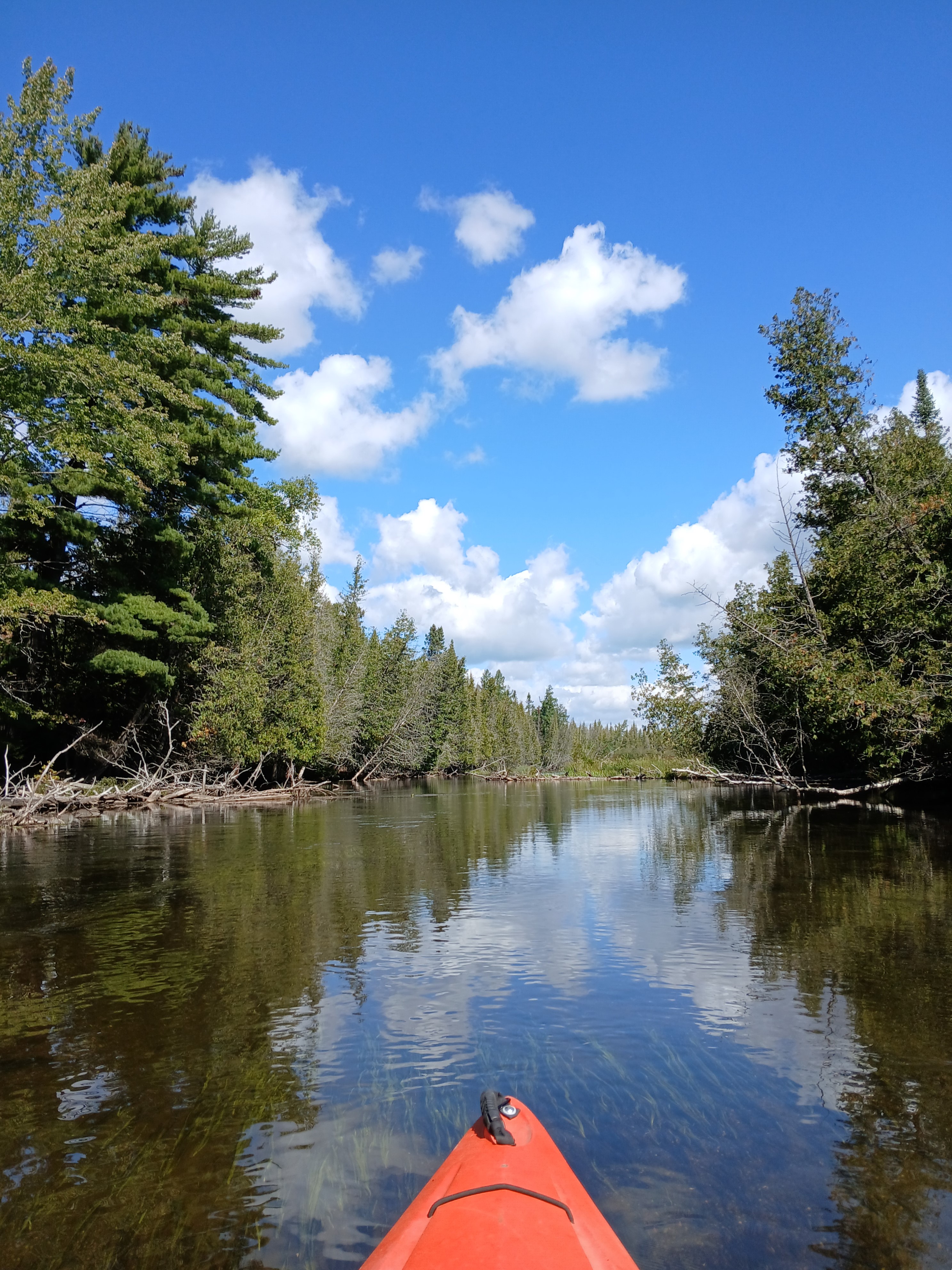 AU SABLE RIVER MAINSTREAM, GRAYLING TO THE WAKELEY BRIDGE, CRAWFORD ...